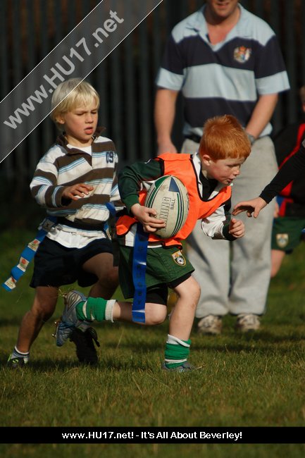 Beverley RUFC: Mini Section Tag Rugby | HU17.net – It’s all about Beverley!