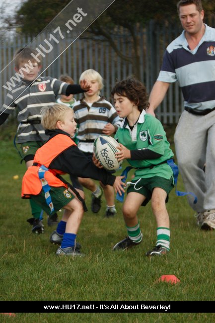 Beverley RUFC: Mini Section Tag Rugby | HU17.net – It’s all about Beverley!