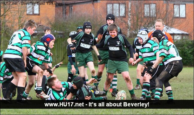 Beverley RUFC Vs Hessle RUFC U13's | HU17.net – It’s all about Beverley!