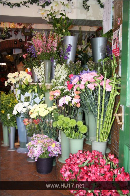 The Garden Shed Florists | HU17.net – It’s all about Beverley!